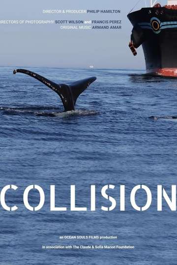 Collision - Movie | Moviefone