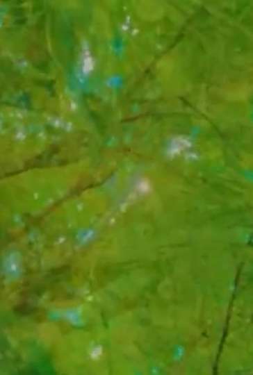 Where to Watch Epistemology: Floating Images and the Search for a ...