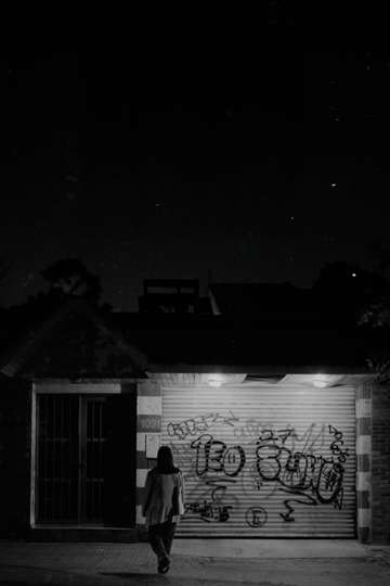 Birds sing at night - Where to Watch | Moviefone