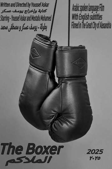 Where to Watch The Boxer | Moviefone