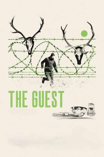 The Guest - Movie | Moviefone