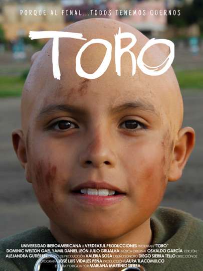 Where to Watch TORO | Moviefone