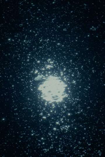 Fugue Streaming - Where to Watch Online | Moviefone