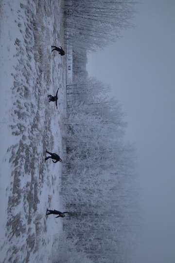 Soft Red Winter - Movie | Moviefone