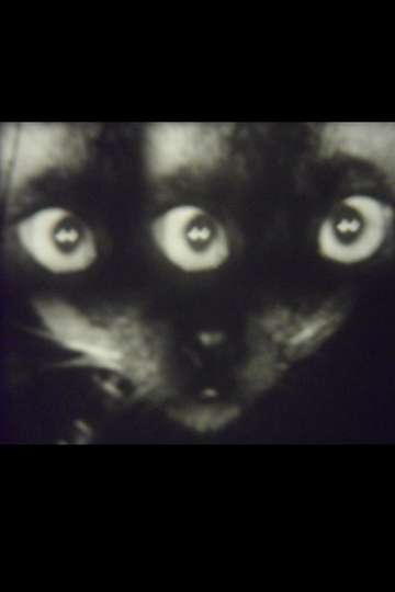 Where to Watch Wee Gee’s Camera Magic (1960) | Moviefone