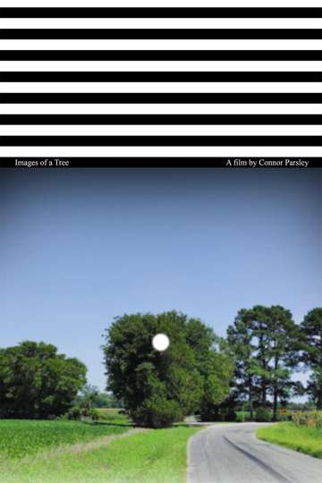 Images of a Tree - Movie | Moviefone