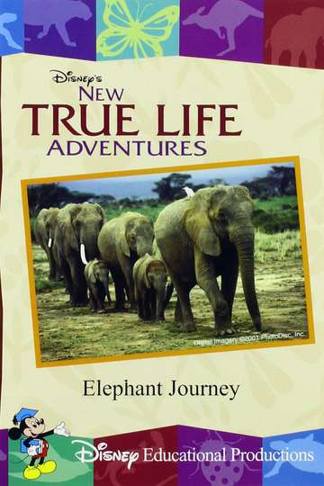 Elephant Journey (2000) - Movie | Moviefone