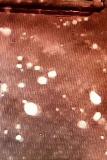 A Haunted House - Movie | Moviefone