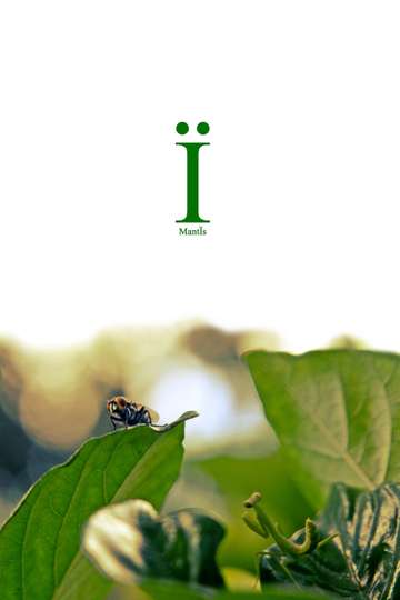 Mantïs - Movie | Moviefone