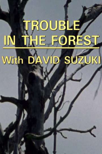 Trouble in the Forest - Movie | Moviefone