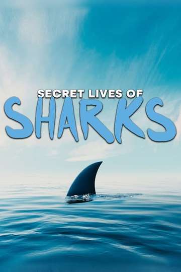 The Secret Lives of Sharks (2021) - Where to Watch | Moviefone