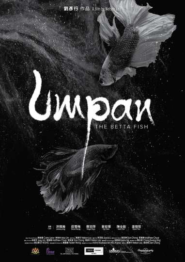 Umpan: The Betta Fish - Where to Watch | Moviefone