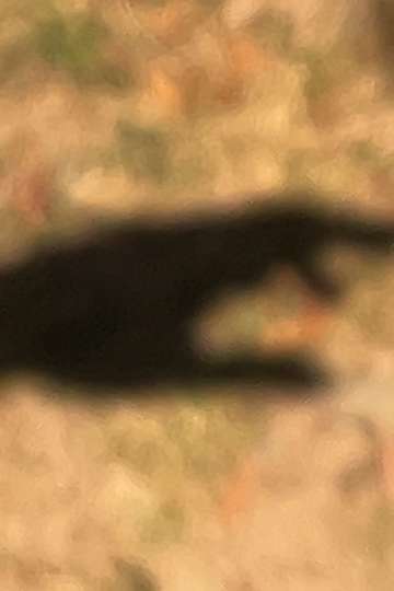 Provocation (2025) - Movie | Moviefone