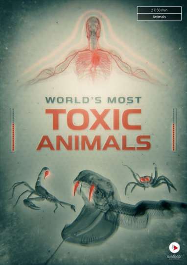 World's Most Toxic Animals (2021) - TV Show | Moviefone