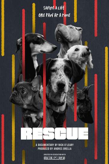 RESCUE - Where to Watch | Moviefone