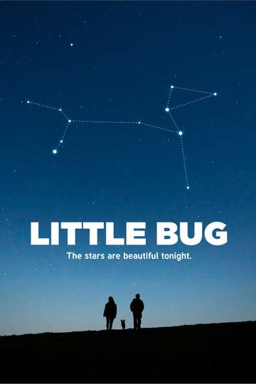 Little Bug - Where to Watch | Moviefone