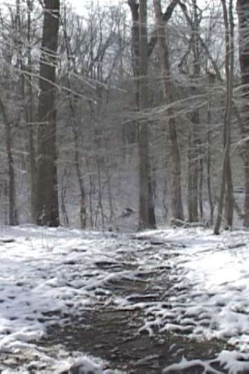 Landscape Tempos 40-50 (2025) - Movie | Moviefone