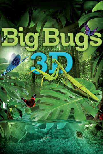 Big Bugs - Movie | Moviefone