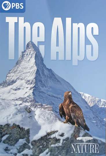 The Alps - Where to Watch & Stream Online | Moviefone