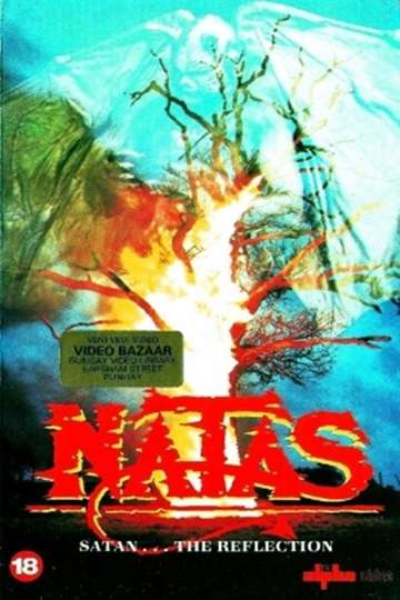 Natas: The Reflection (1986) - Movie | Moviefone