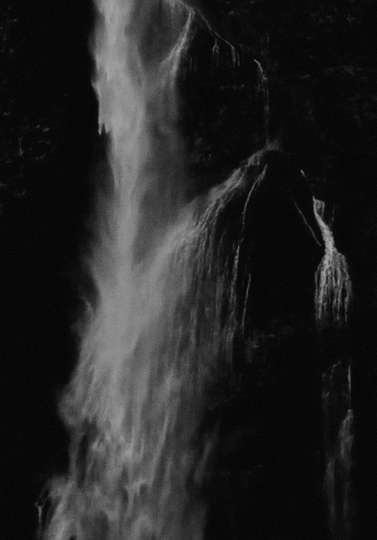 Flower (2013) - Movie | Moviefone