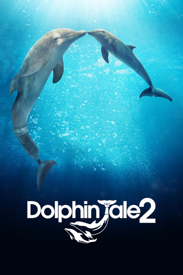 Dolphin Tale (2011) - Movie | Moviefone