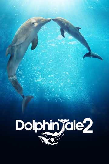 Dolphin Tale (2011) - Movie | Moviefone