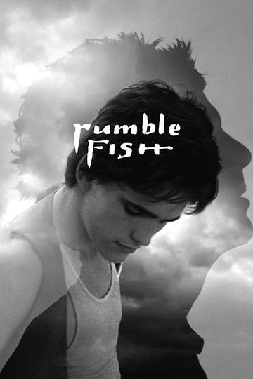 Rumble Fish (1983) - Movie | Moviefone