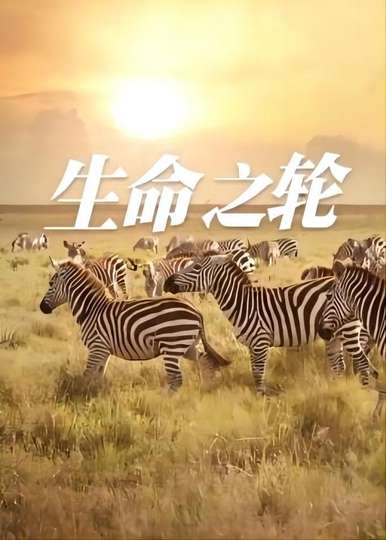 Life Cycles - Seasons Guide | Moviefone