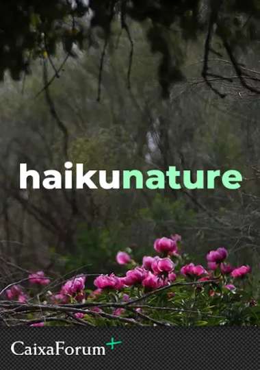 Haiku Nature (2022 - 2024) - TV Show | Moviefone