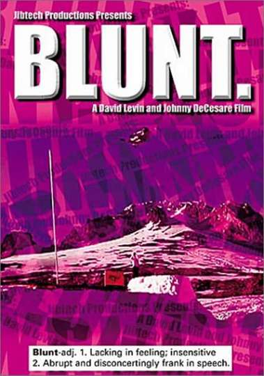 Blunt (2002) - Movie | Moviefone
