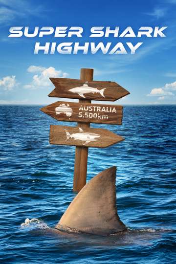 Super Shark Highway (2024) - TV Show | Moviefone