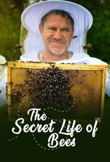 The Secret Life of Bees (2025) - TV Show | Moviefone