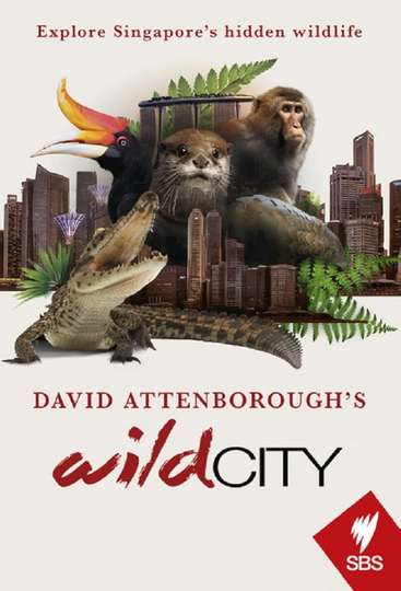 David Attenborough's Wild City (2016) - TV Show | Moviefone