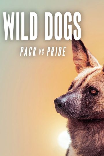 Wild Dogs: Packs Vs. Pride (2023) - TV Show | Moviefone