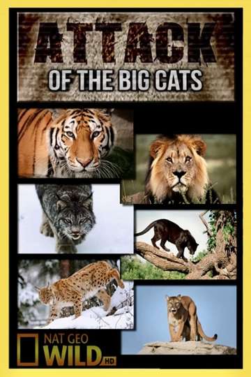 Attack of the Big Cats (2012) | Moviefone