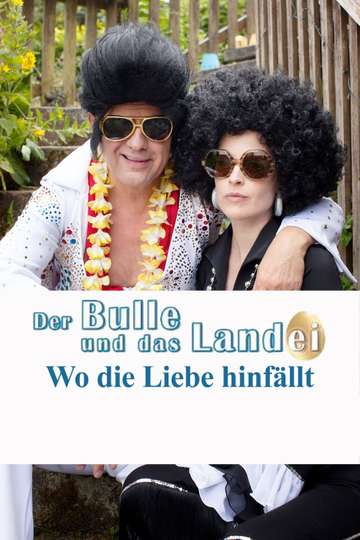 Der Bulle und das Landei - Wo die Liebe hinfällt | Moviefone