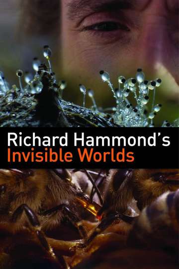 Richard Hammond's Invisible Worlds (2010) - TV Show | Moviefone