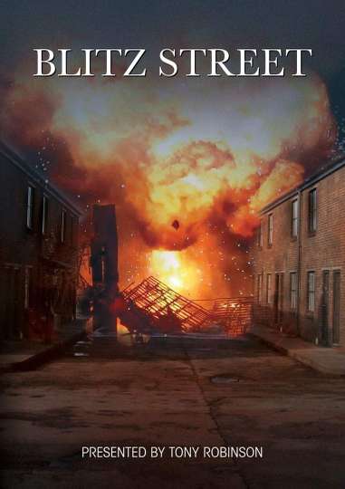 Blitz Street (2010) - TV Show | Moviefone