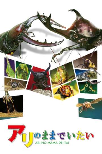 I Want to Stay an Ant Streaming - Where to Watch Online | Moviefone