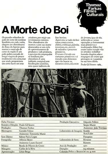 A Morte do Boi | Moviefone