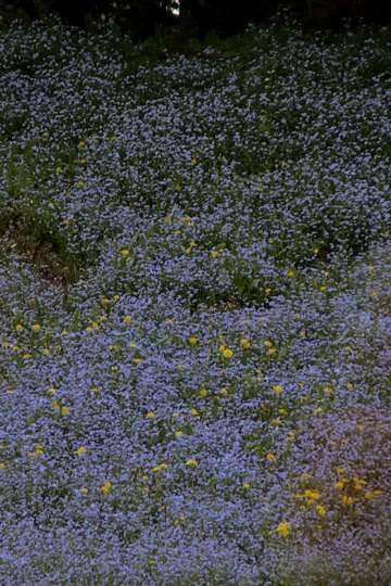 Intersection Full Cast & Crew | Moviefone