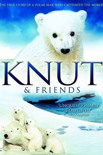 Knut & Friends - Movie | Moviefone