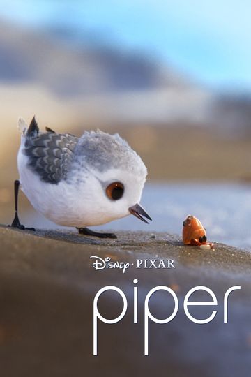 Piper (2016) - Movie | Moviefone