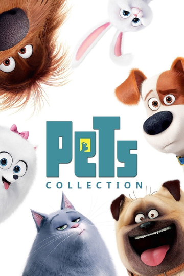 The Secret Life of Pets (2016) - Movie | Moviefone