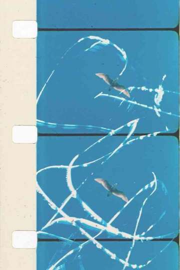 Reel 3 (1998) - Movie | Moviefone