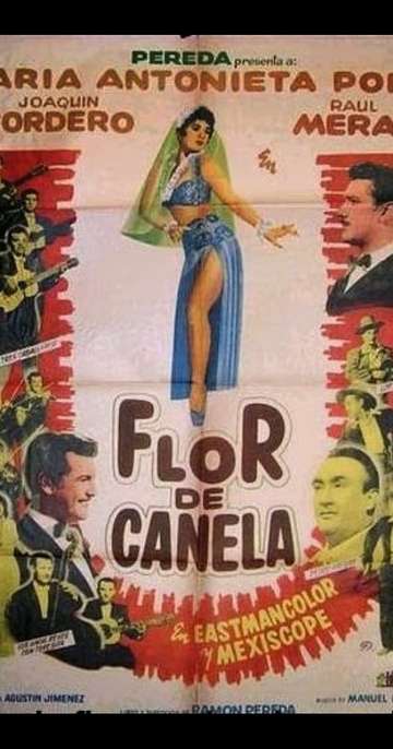 Where to Watch Flor de canela | Moviefone