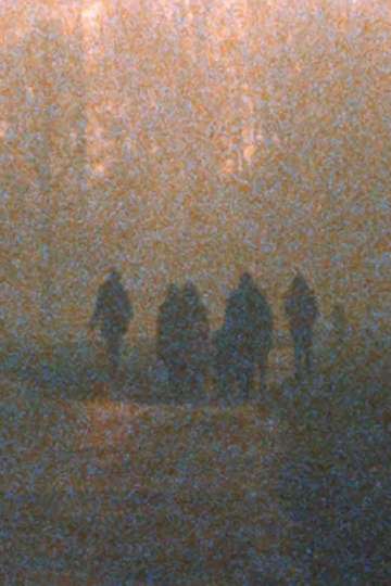 Home in the Weather - Movie | Moviefone