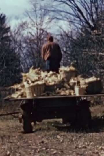 The Longhouse People - Movie | Moviefone