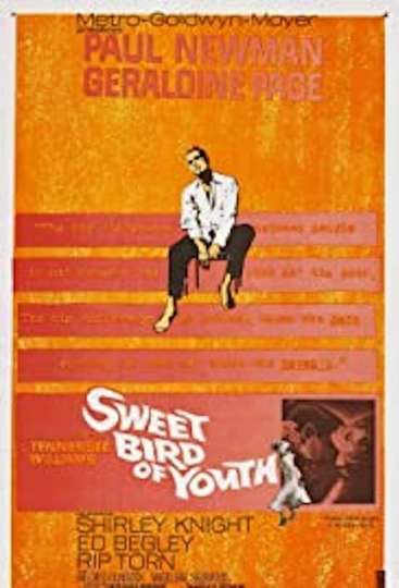Sweet Bird of Youth Stream and Watch Online | Moviefone
